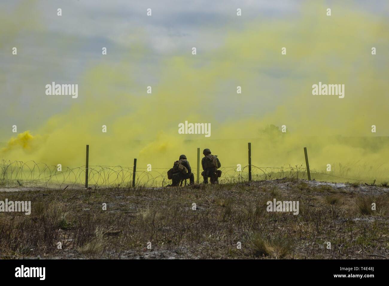 Anti personnel obstacle breaching system hi-res stock photography and ...