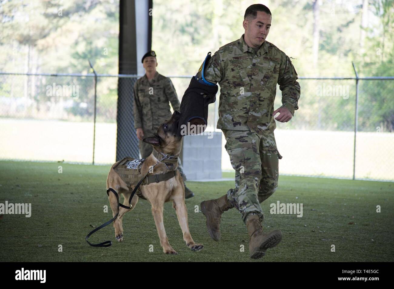 Military dog usa leash hi-res stock photography and images - Alamy