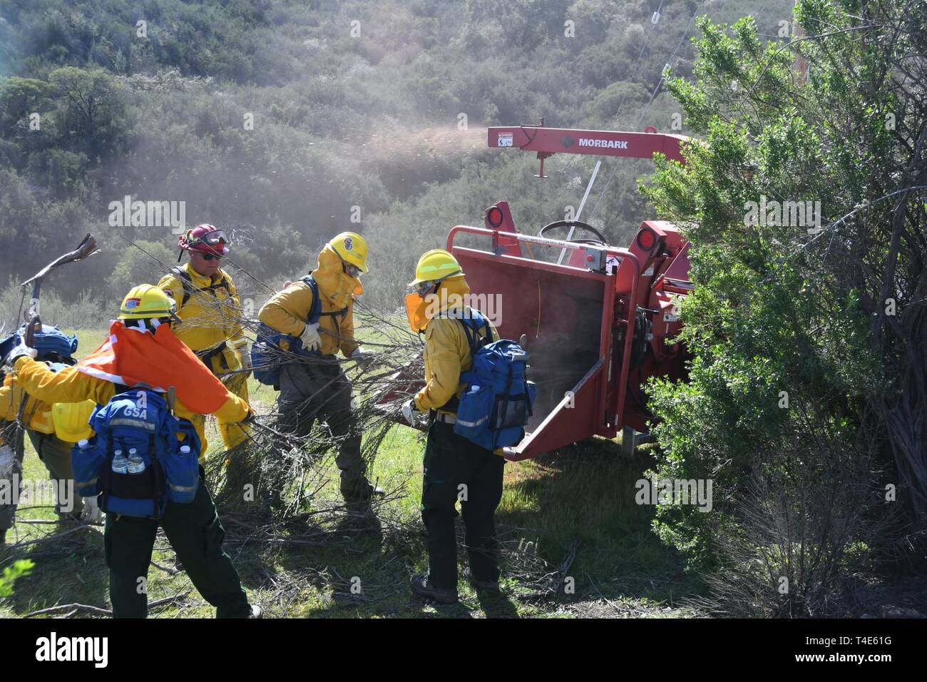 A Cal Guard Soldiers in Task Force Rattlesnake load brush into a wood ...