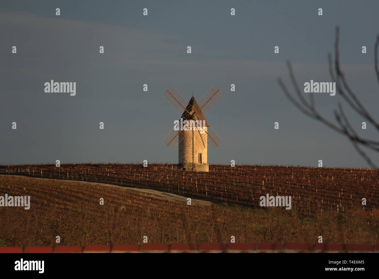 Windmill in Villeneuve de Duras grape vines Stock Photo - Alamy