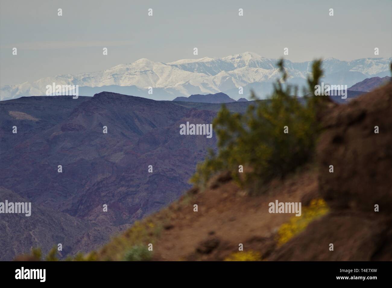 High desert spring hi-res stock photography and images - Alamy