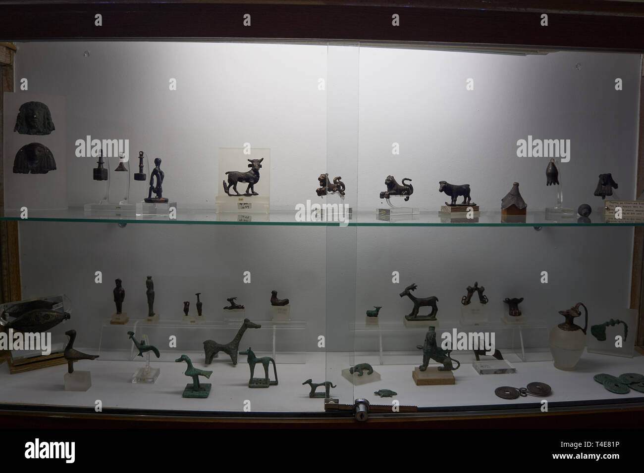 Interior view of the Archaeological Museum of Sparta. It houses ...