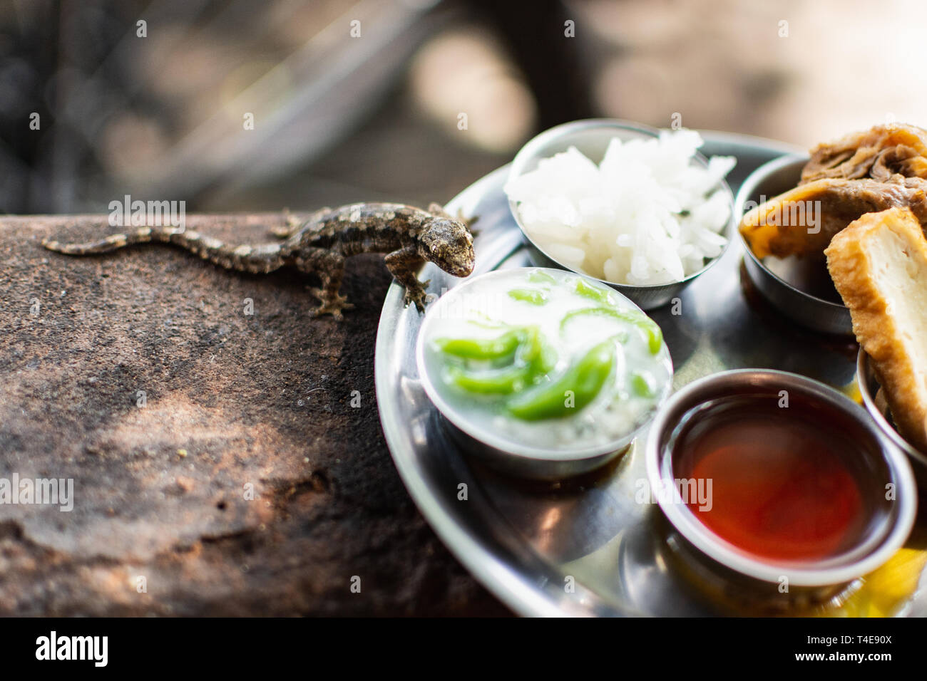 Little gecko eating traditional Thai food served in metal bowls at ...
