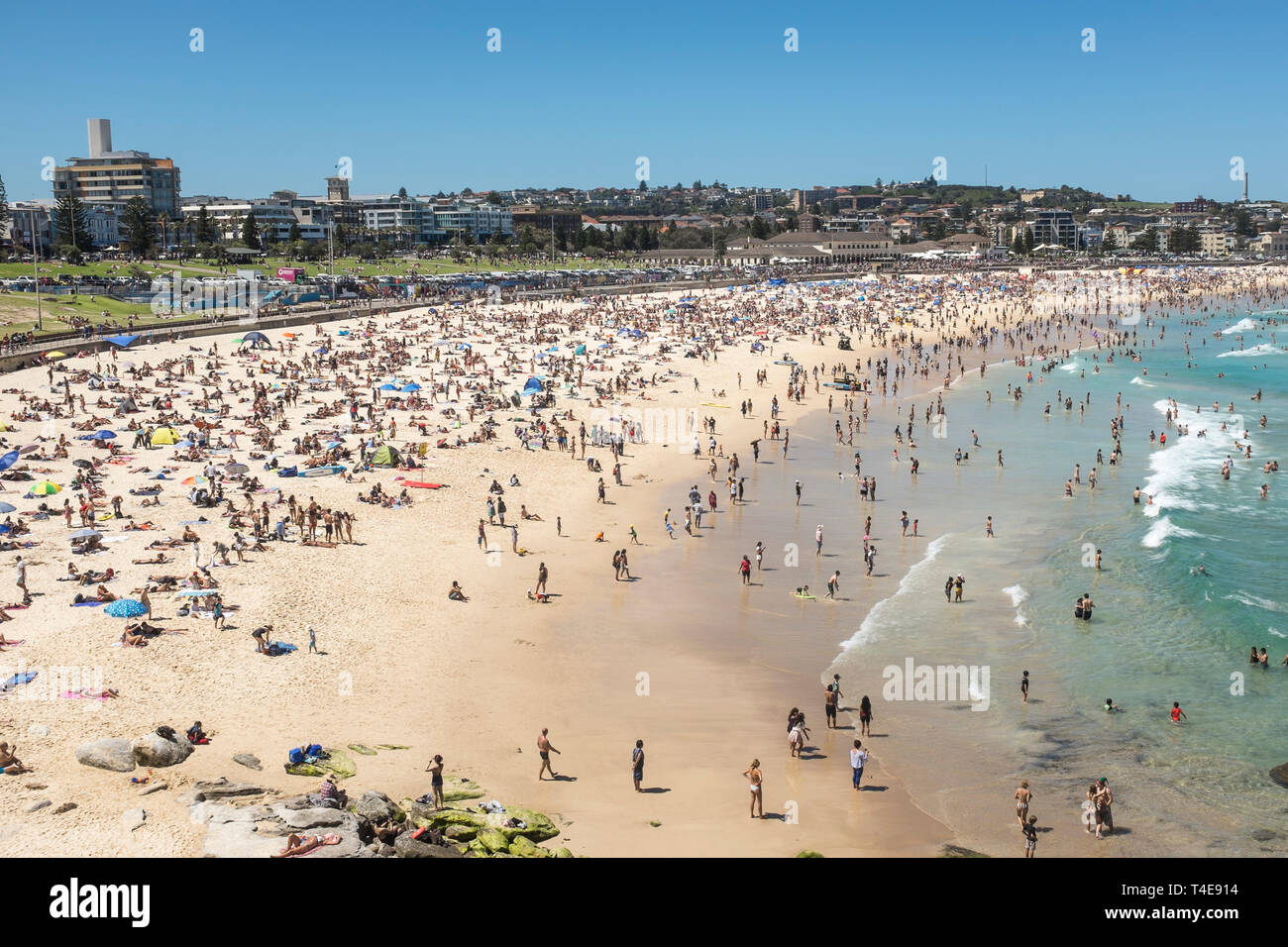 Bondi beach sunbathers hi-res stock photography and images - Alamy