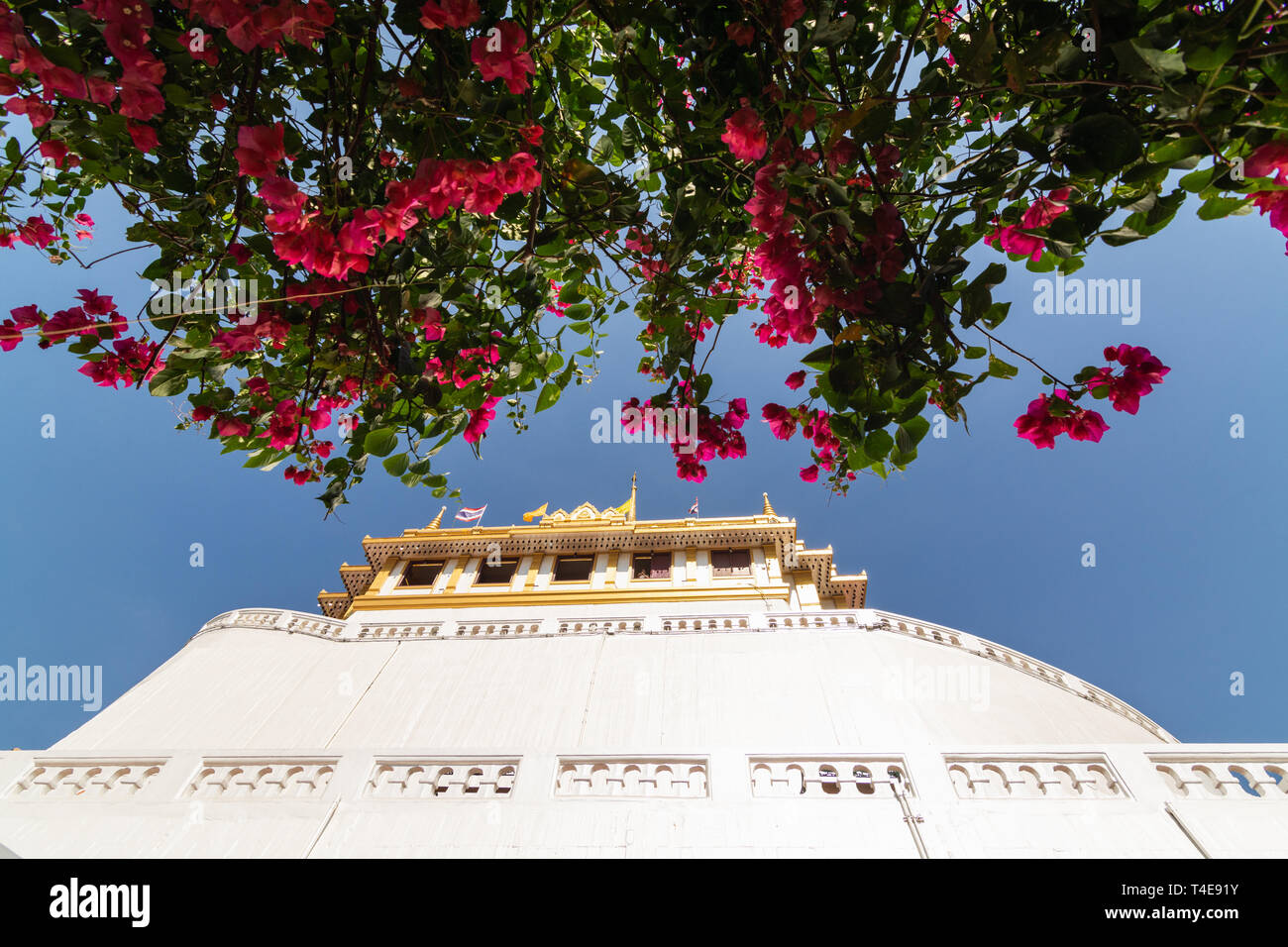 Golden Mountain Wat Saket temple with flower bush framing in Bangkok ...