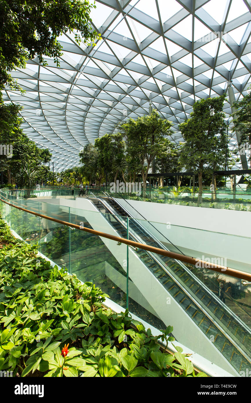 Vertical view of domestic garden in Jewel Changi Airport, a unique ...