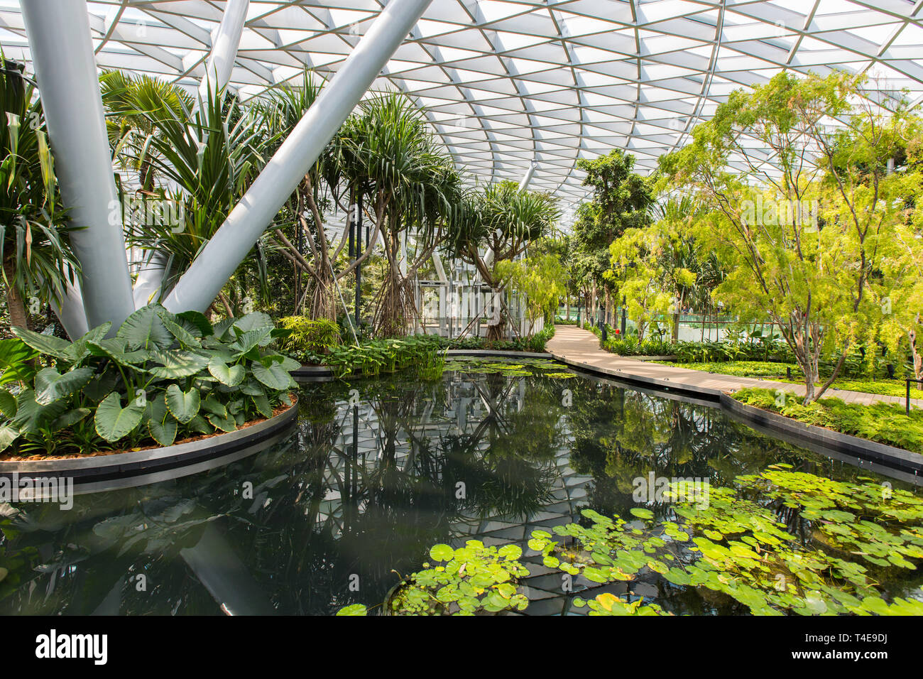An attraction to relax and unwind at Canopy Park, showcase pathway ...