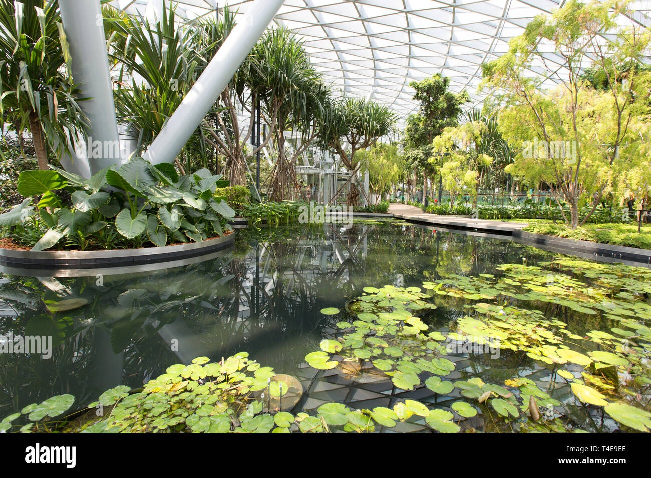 An attraction to relax and unwind at Canopy Park, showcase pathway ...