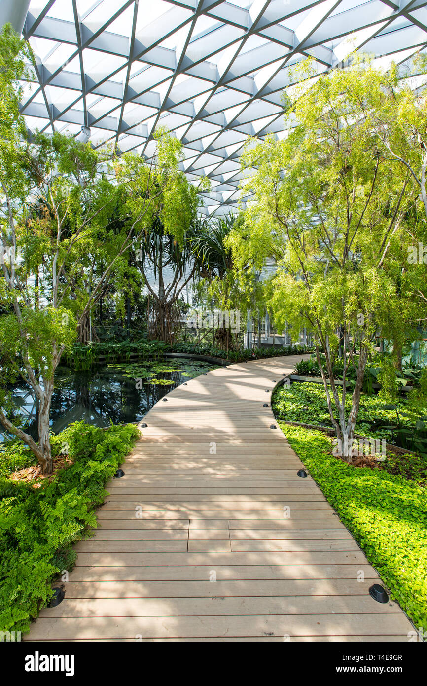 Changi airport garden hi-res stock photography and images - Alamy