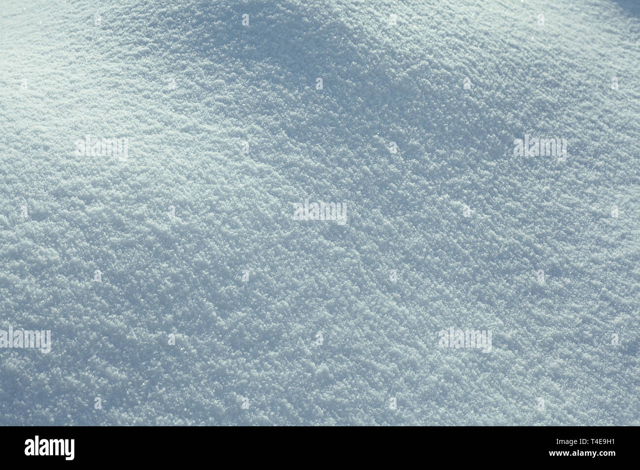 Winter white snow surface detail textured background Stock Photo - Alamy