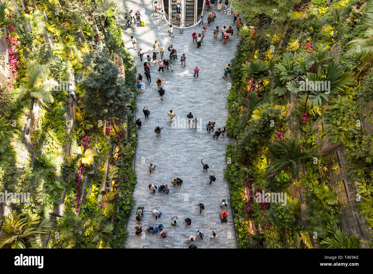 A top down landscape view of Shiseido Forest Valley installation ...