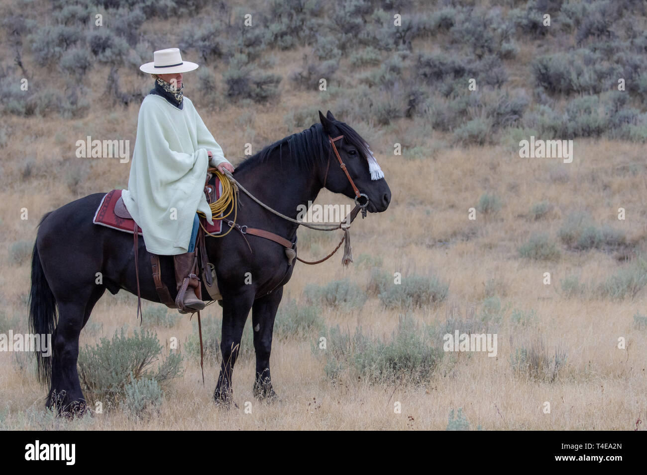 Cowboy garb hi-res stock photography and images - Alamy