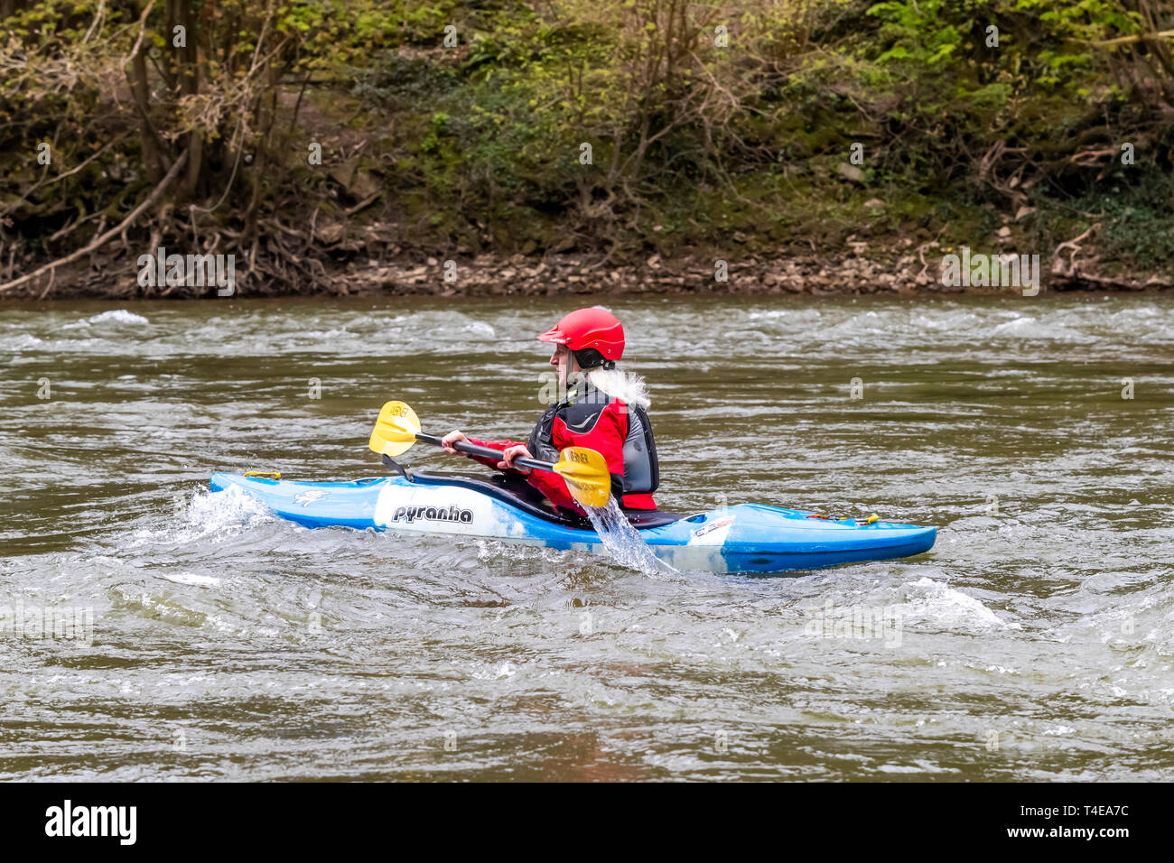 Kayaking Experience On The River Wye At New Weir Symonds Yat With kayaking-experience-on-the-river-wye-at-new-weir-symonds-yat-with