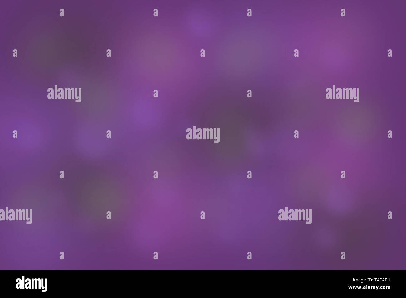 Festive background in purple tones, the template is ready for ...