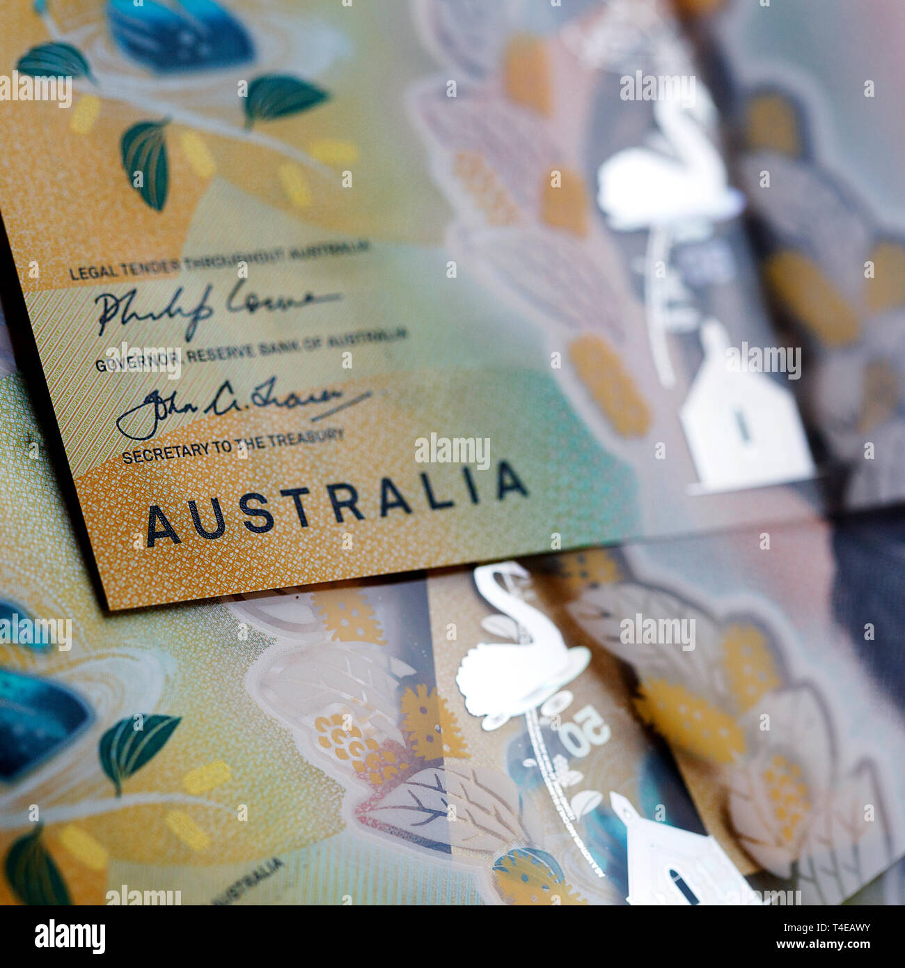 Australian fifty dollar banknotes. The new 2019 issue bill is designed ...