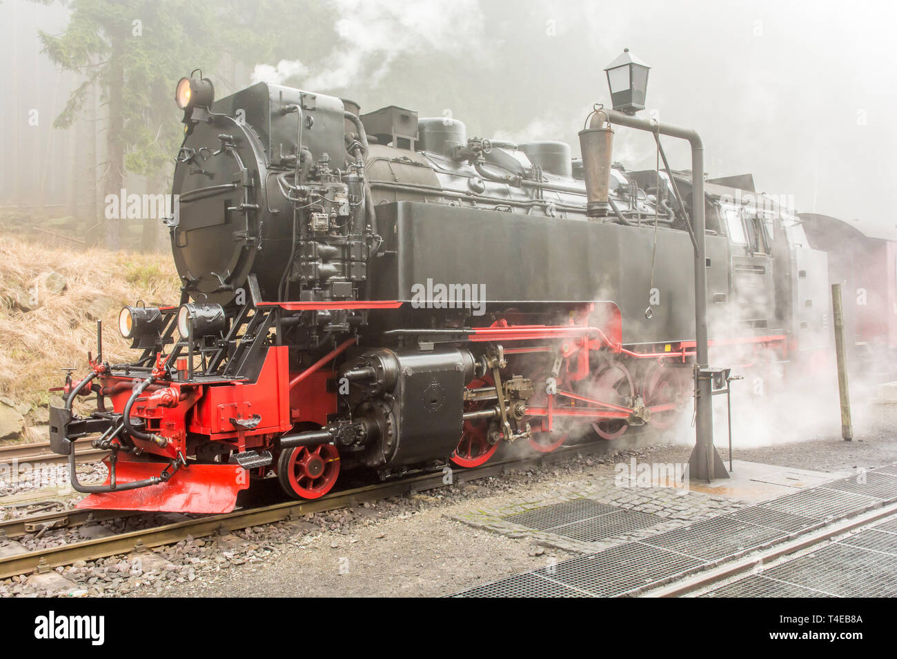 Steaming steam locomotive in a forest in fog Stock Photo - Alamy