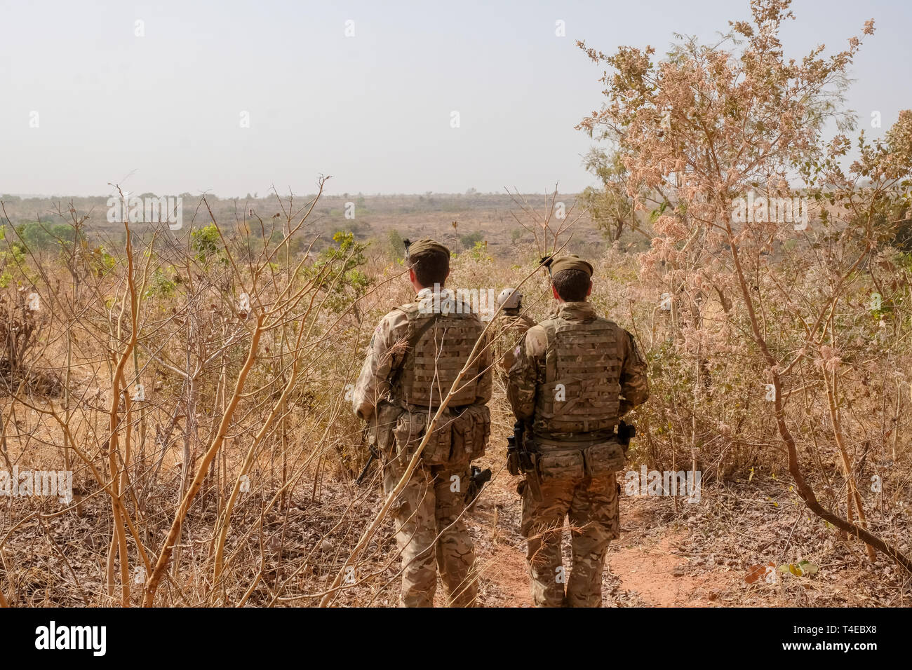 1st battalion the royal regiment of scotland 1 scots hi-res stock ...