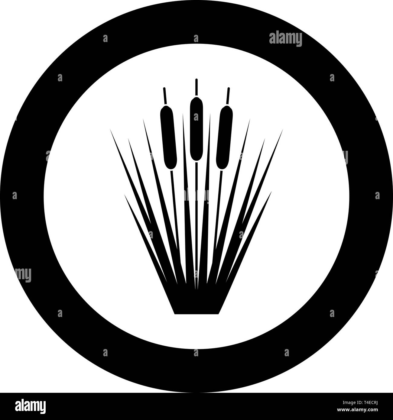 Fen sedge Stock Vector Images - Alamy