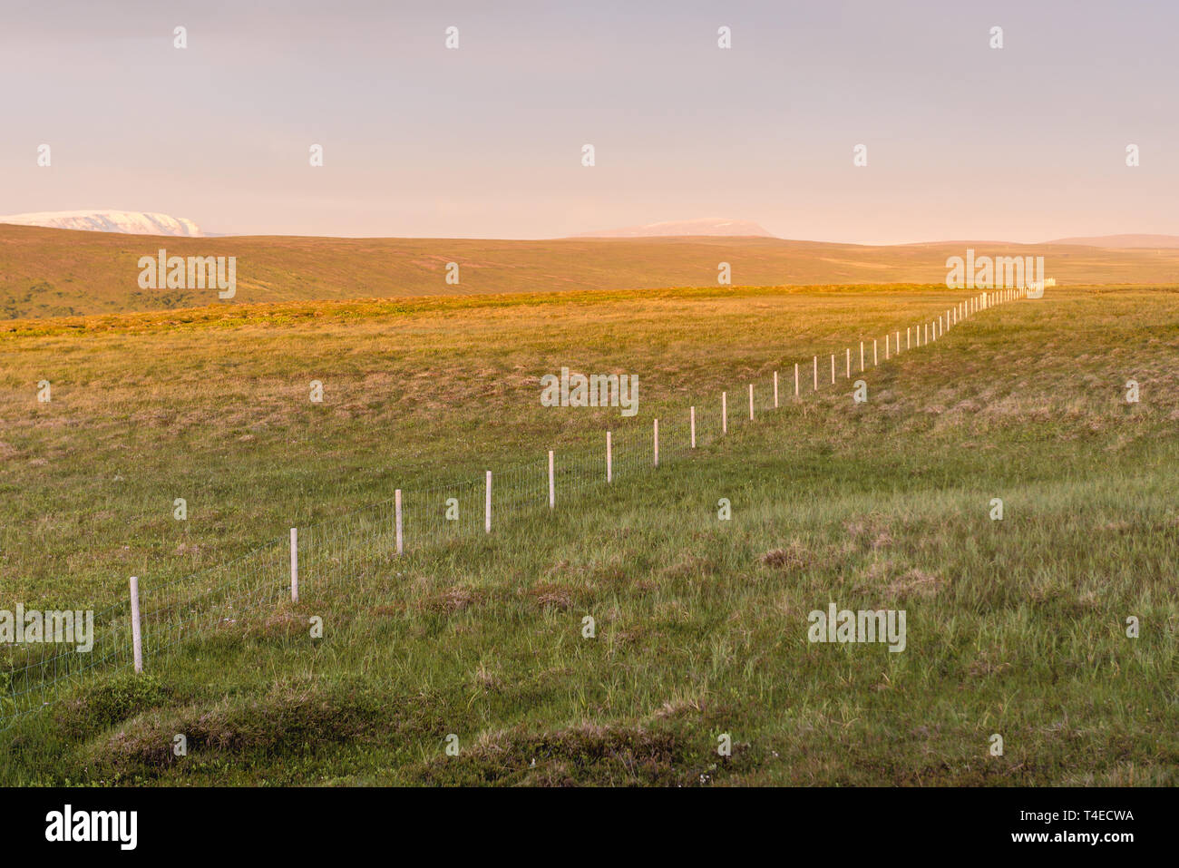 Grazing land hi-res stock photography and images - Alamy