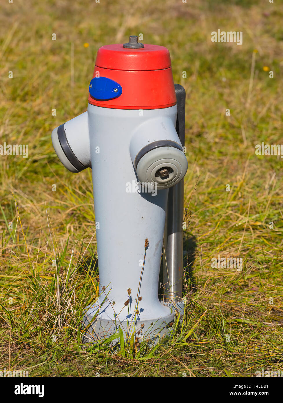 A fire hydrant painted in gray and red colors in grass Stock Photo - Alamy
