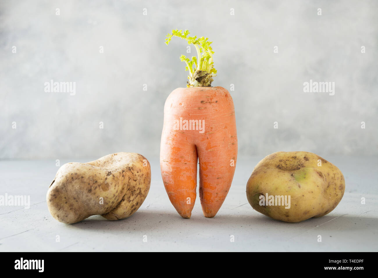 Ugly organic abnormal vegetables carrot and potatoes. Space for text ...