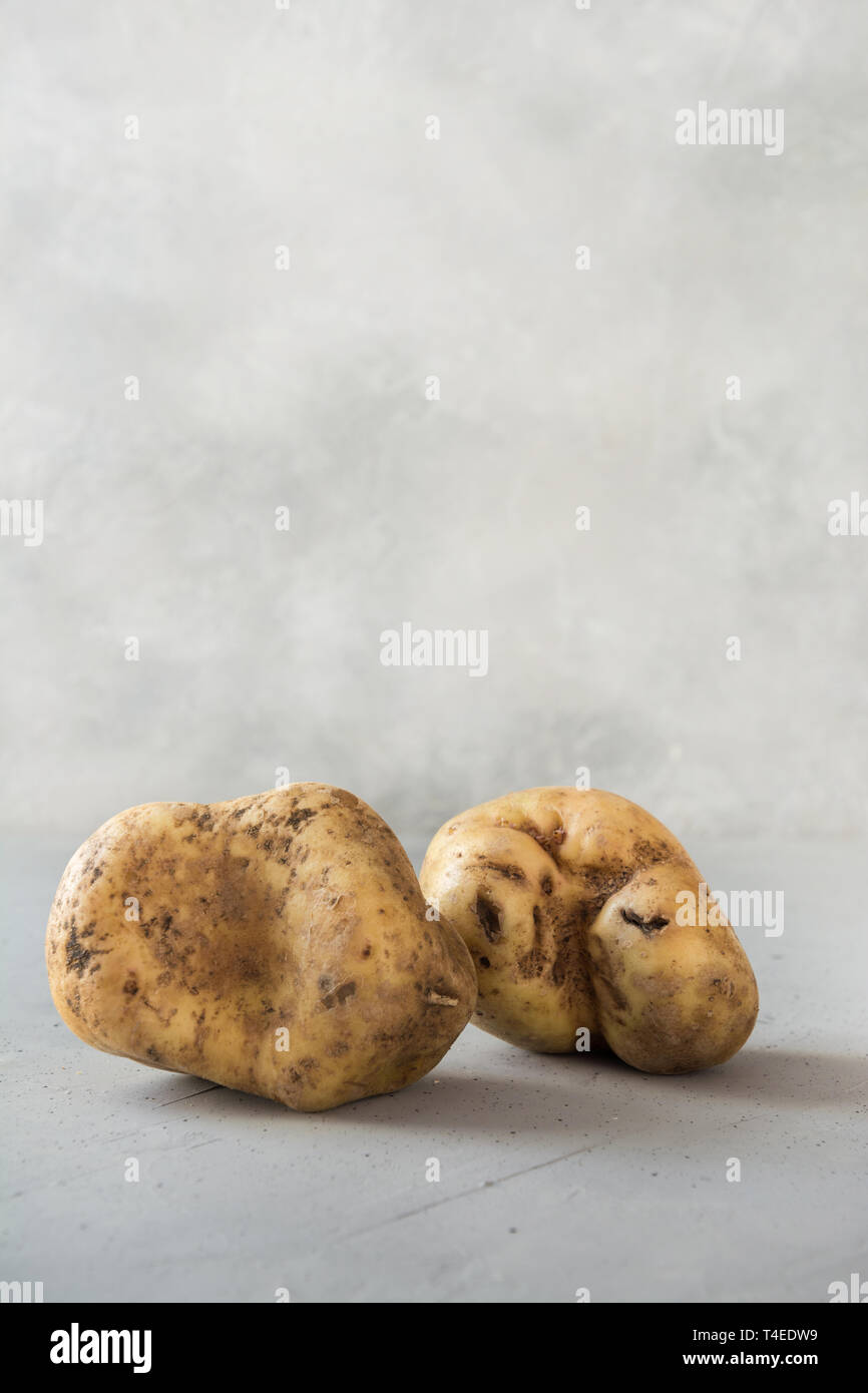 Ugly organic abnormal potatoes. Space for text. Concept organic ...