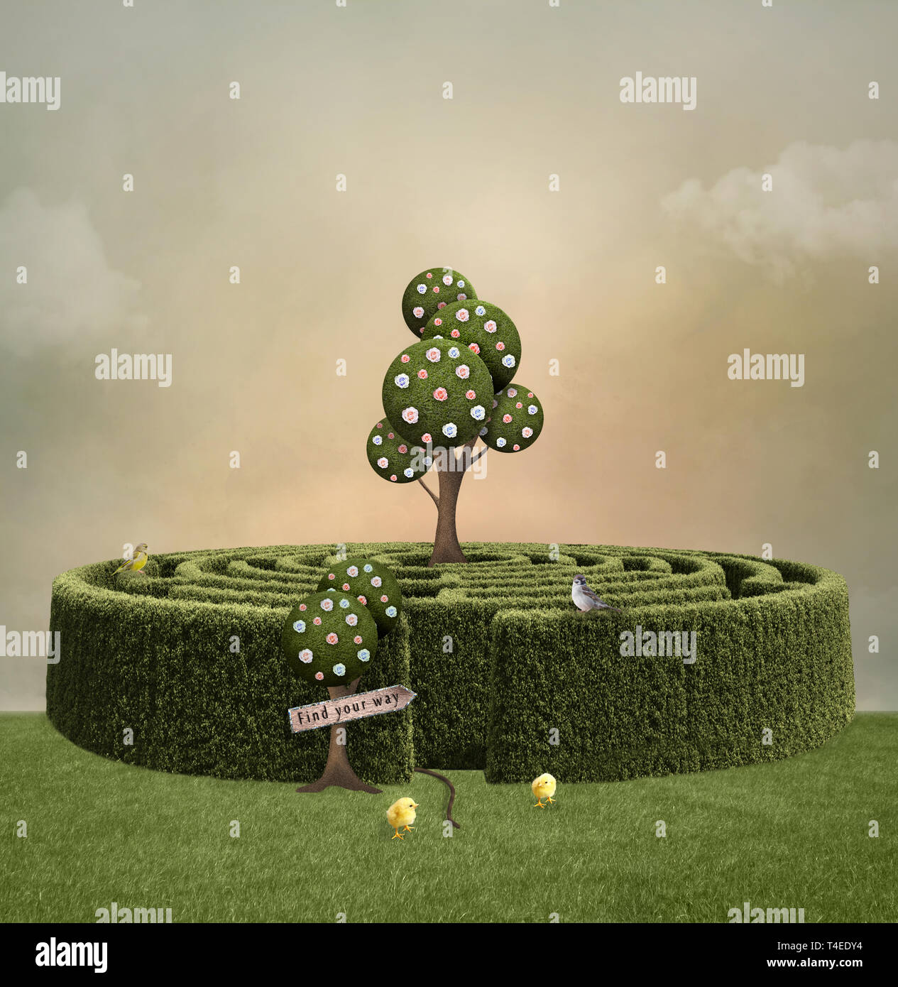 Find your way conceptual background Stock Photo - Alamy