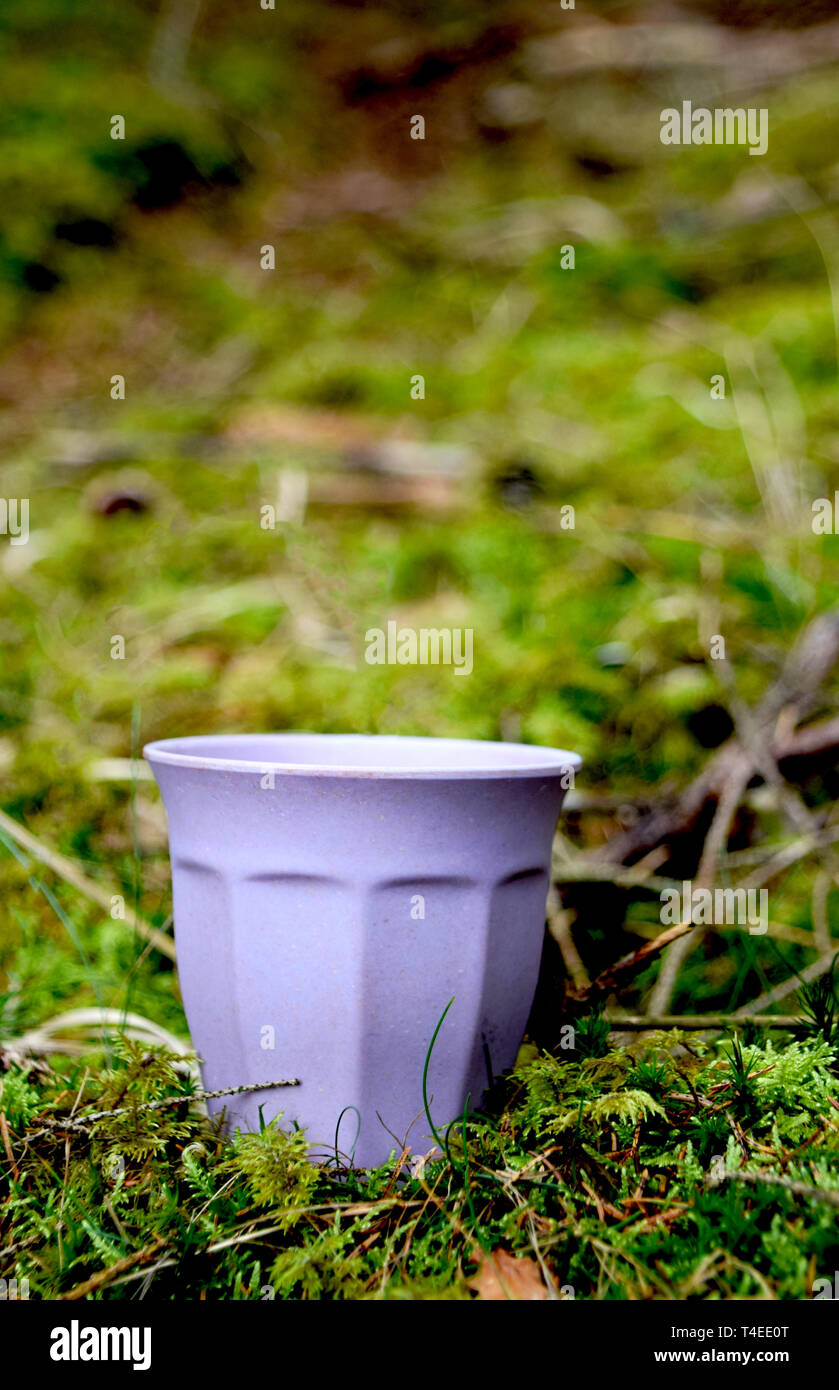 Coffee cup standing in the moss in the forest Stock Photo - Alamy