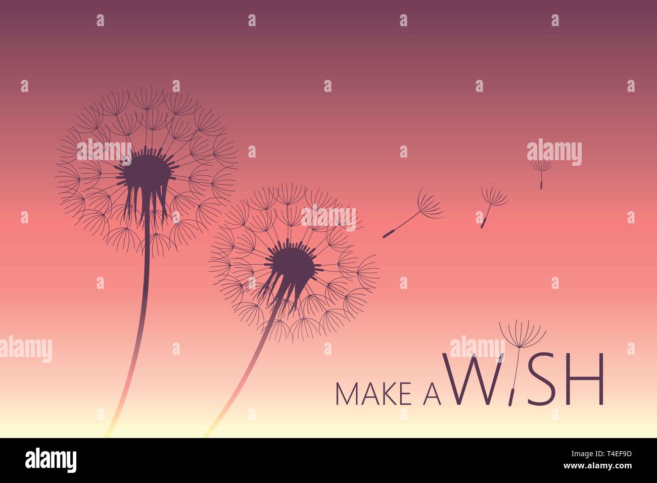 dandelion silhouette on purple background with flying seeds and make a ...
