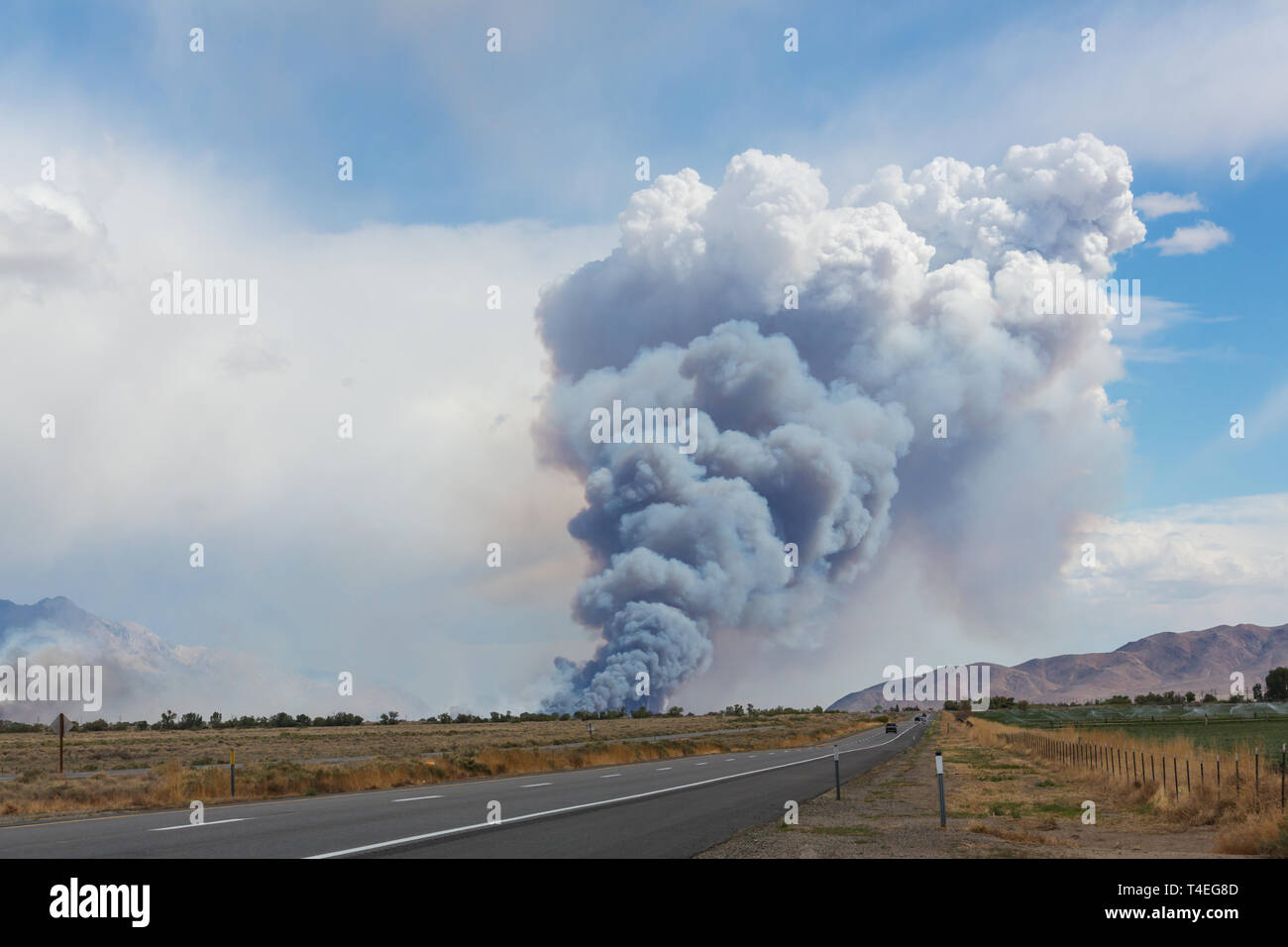 Fire along road hi-res stock photography and images - Alamy