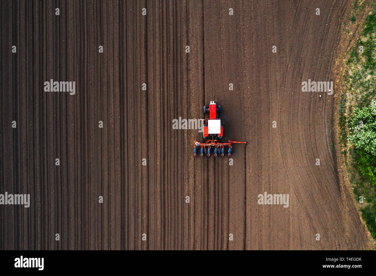 Corn field top angle hi-res stock photography and images - Alamy