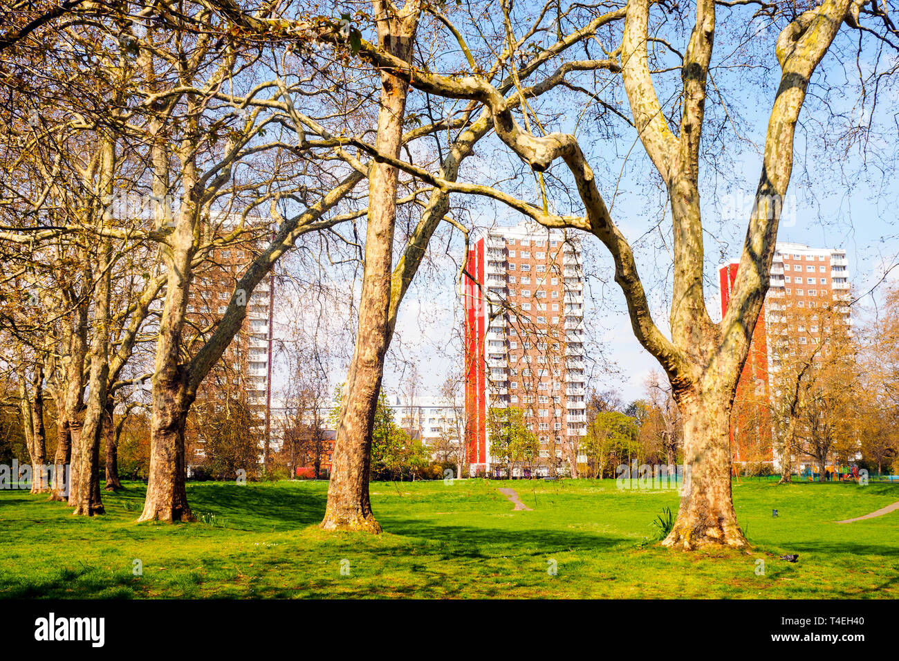 Trees in Lewisham Park gardens - South East London, England Stock Photo ...