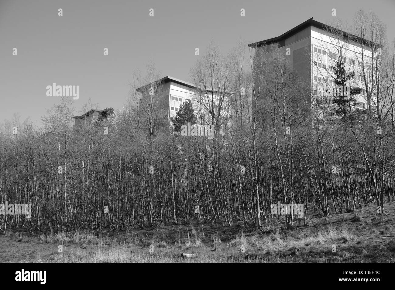 Maryhill flats hi-res stock photography and images - Alamy