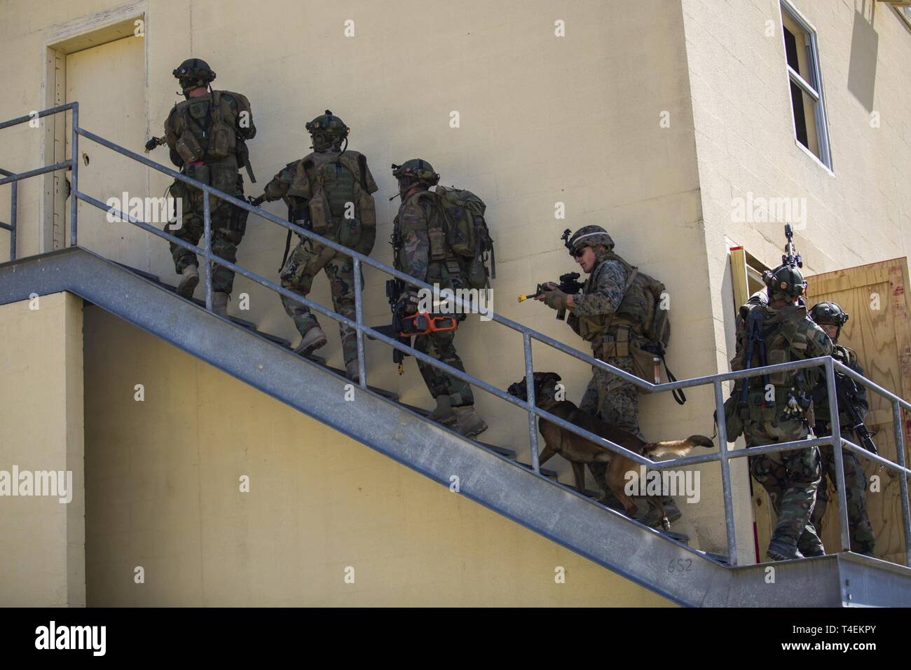 U s marine corps sgt bryce hi-res stock photography and images - Alamy