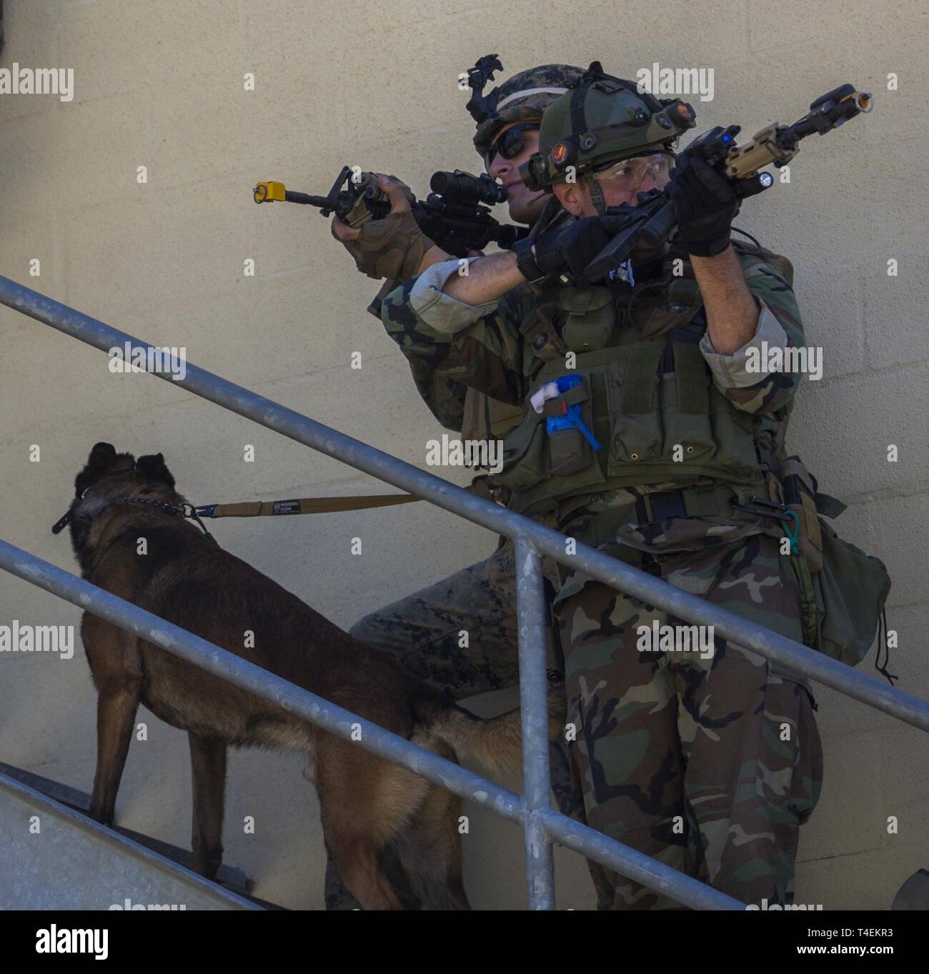 U s marine corps sgt bryce hi-res stock photography and images - Alamy