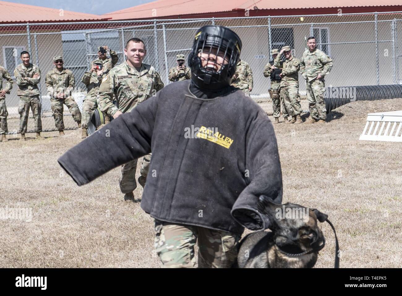 U.S. Army Pfc. Jason Dingler, Joint Security Forces military working ...