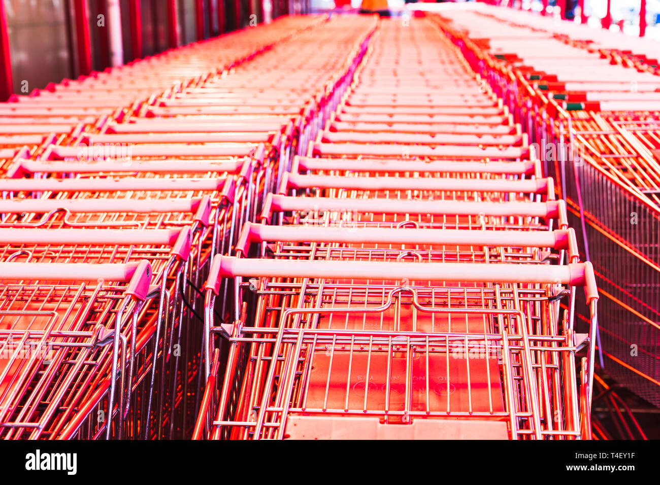 Trolleys for goods in a row from the store, supermarket. Shopping ...