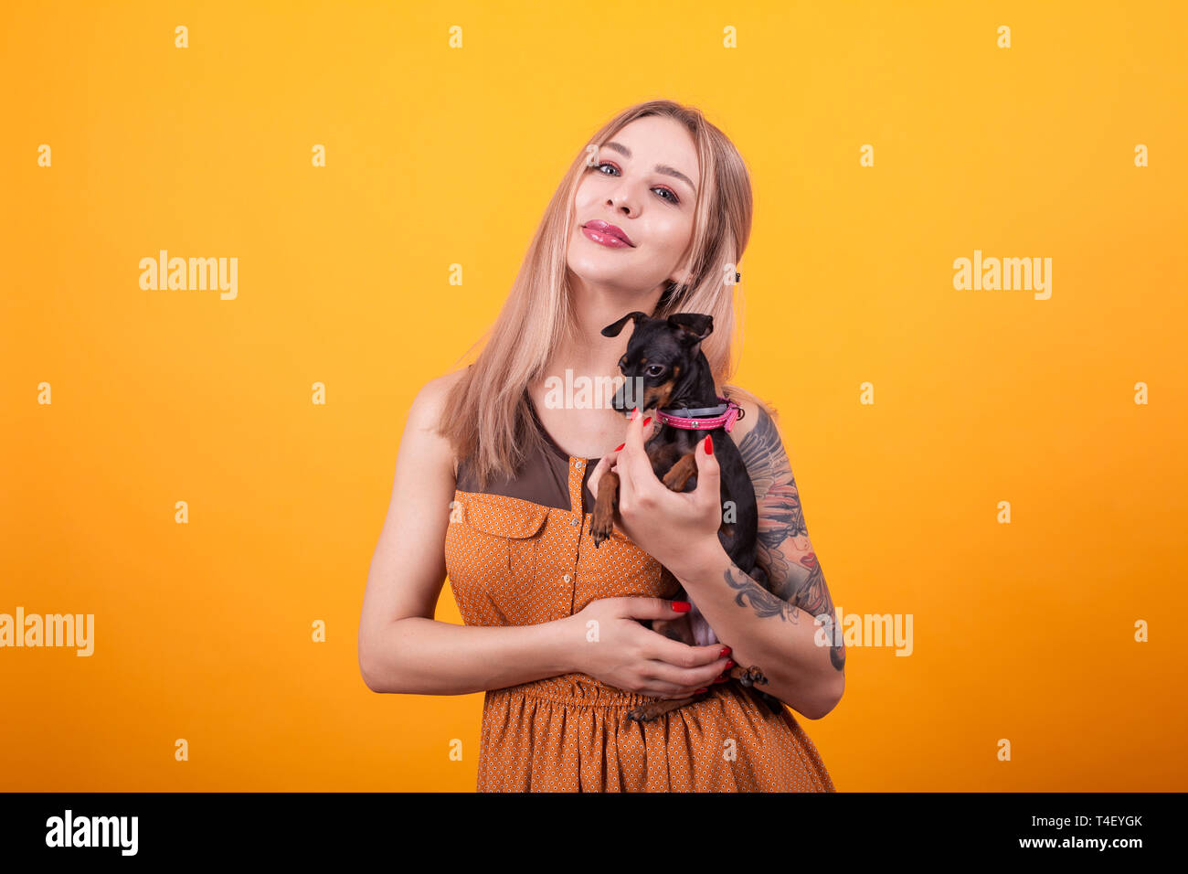 Pretty woman with tattoo on her arm holding her cute little dog over ...