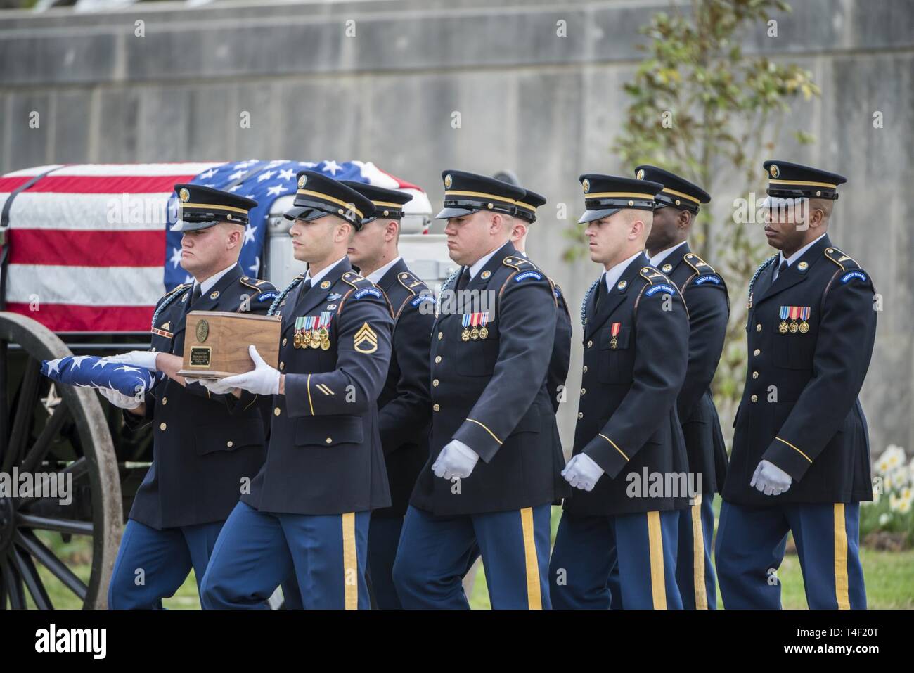 Warrant officer basic course hi-res stock photography and images - Alamy