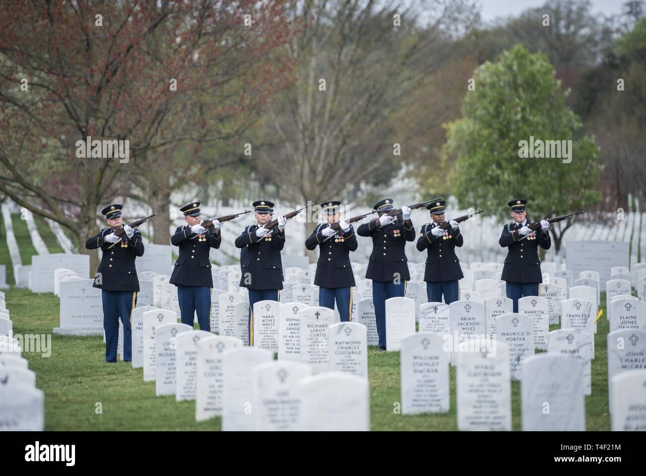 3 rifle volleys hi-res stock photography and images - Alamy