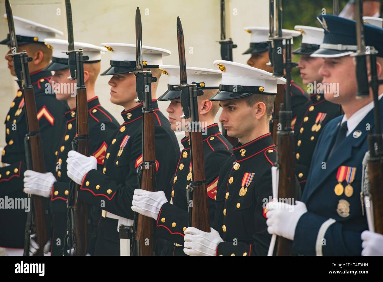 Eisa al mazrouei hi-res stock photography and images - Alamy