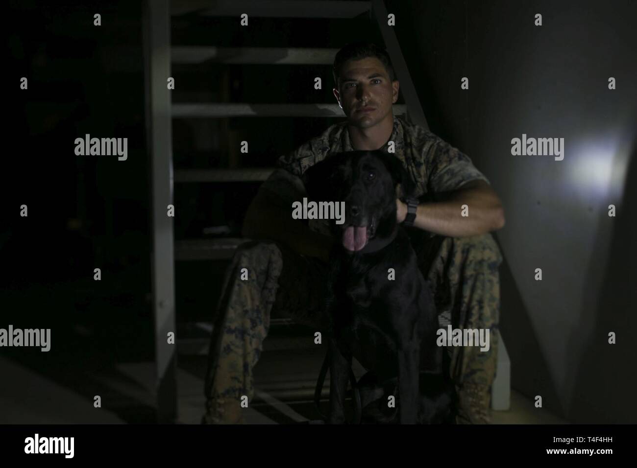 Cpl. Michael C. Gerger, a military working dog handler with the 31st ...