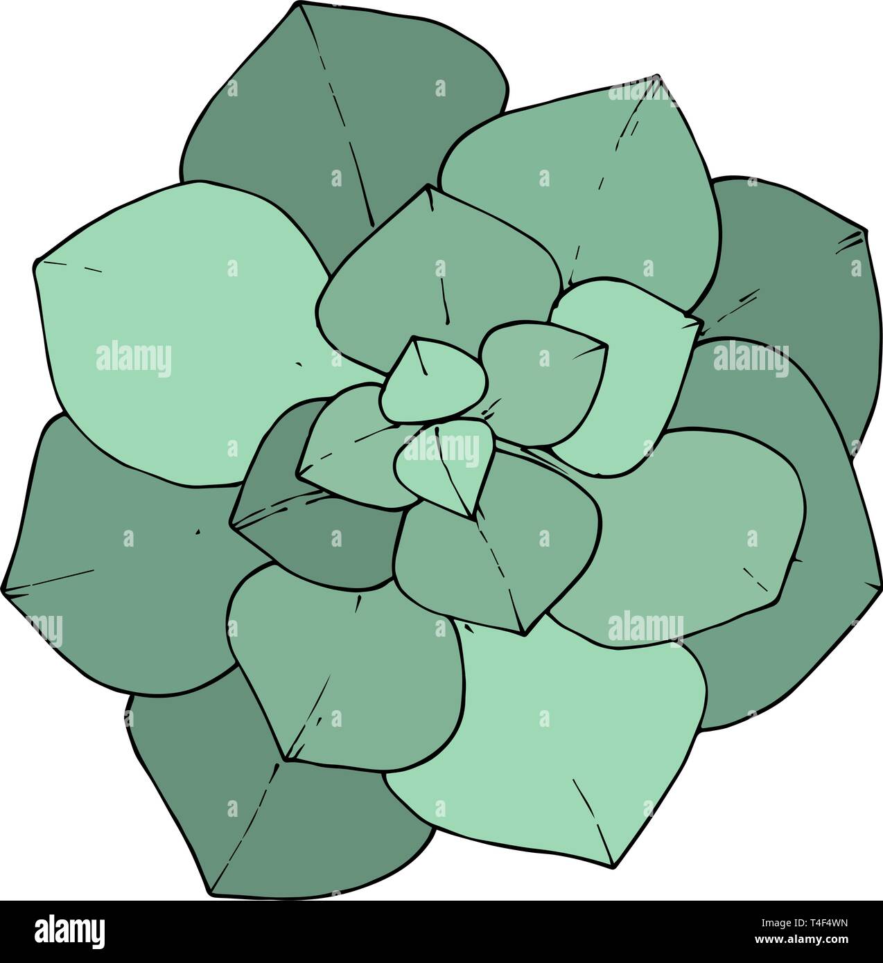 Green succulents Stock Vector Images - Alamy