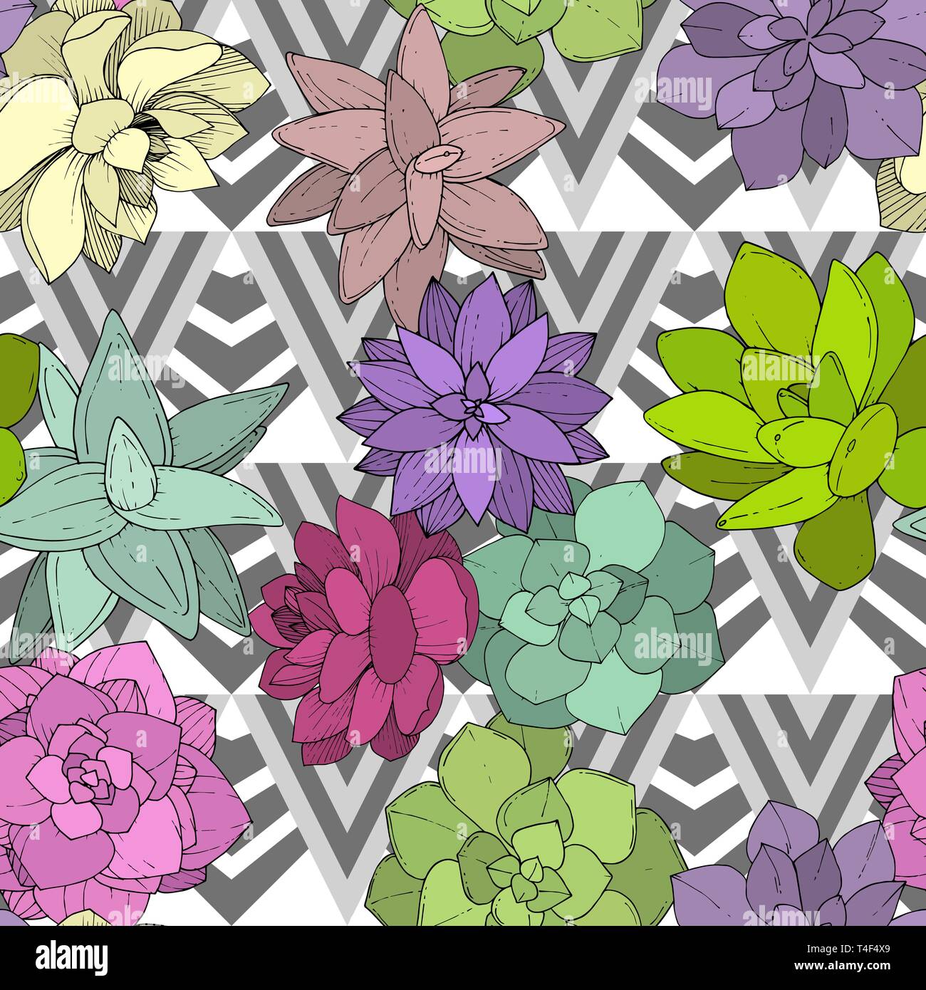 Vector Succulents floral botanical flower. Engraved ink art. Seamless ...