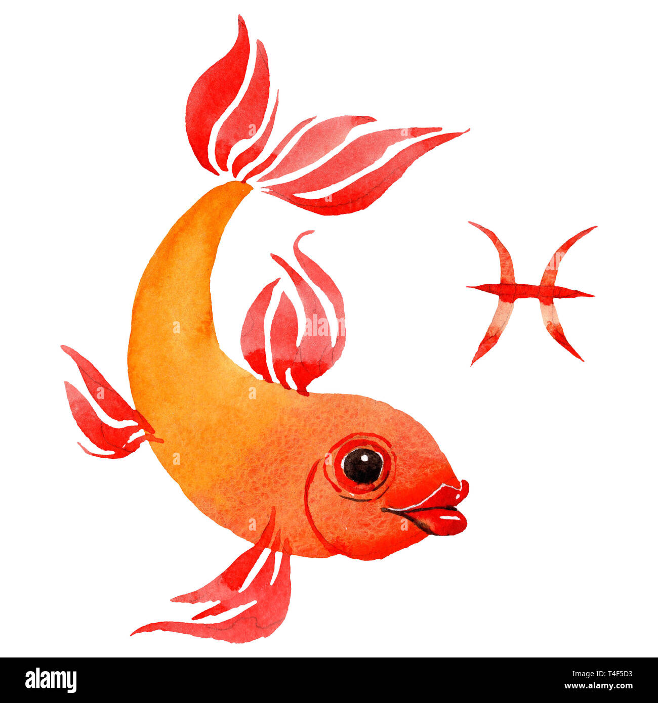 Pisces zodiac sign, astrology symbol. Watercolor background ...