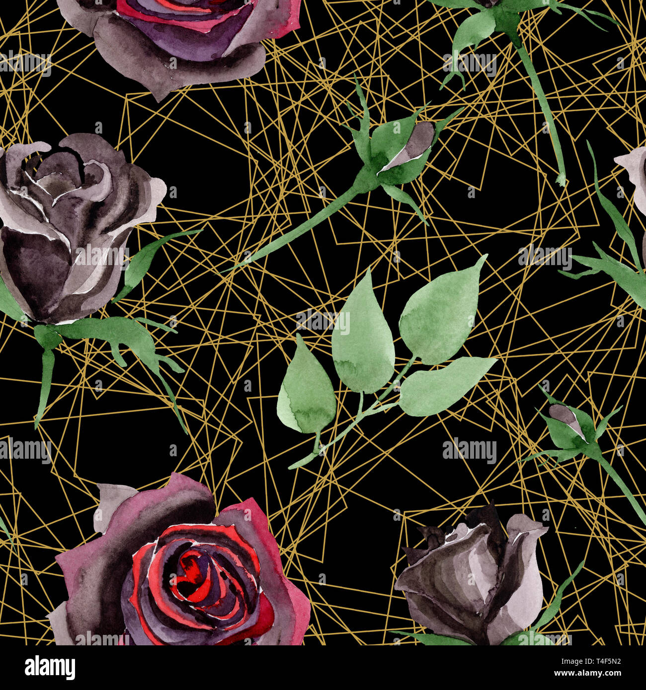 Black rose floral botanical flowers. Watercolor background illustration ...