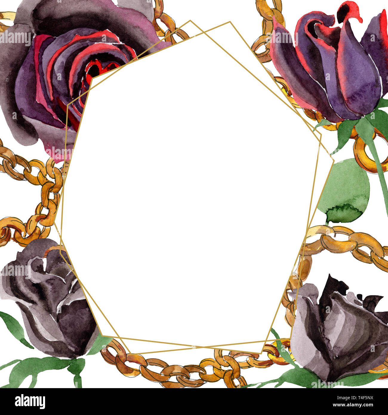 Black rose floral botanical flowers. Watercolor background illustration ...