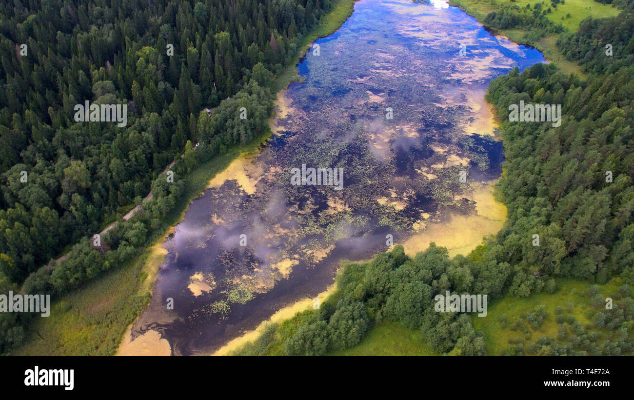 Top view of the forest lake and vegetation Stock Photo - Alamy