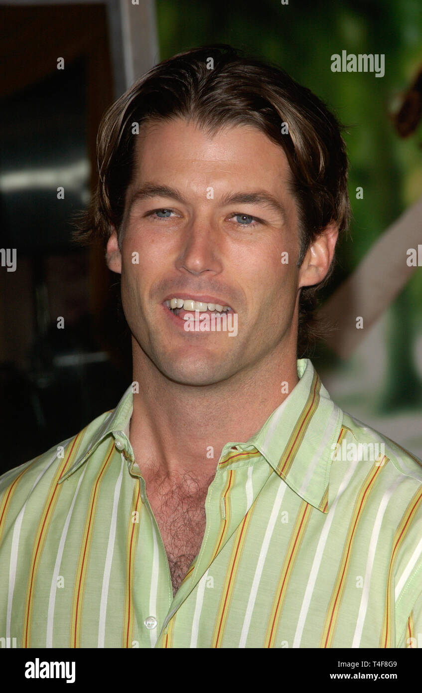 Zen gesner hi-res stock photography and images - Alamy