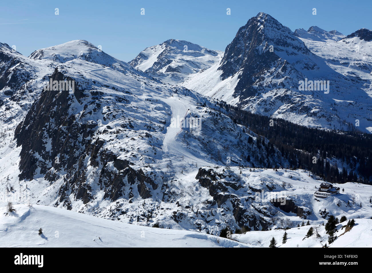 Ski area, Passo Rolle, Palla Group, Dolomites, Trentino, Italy, Europe ...